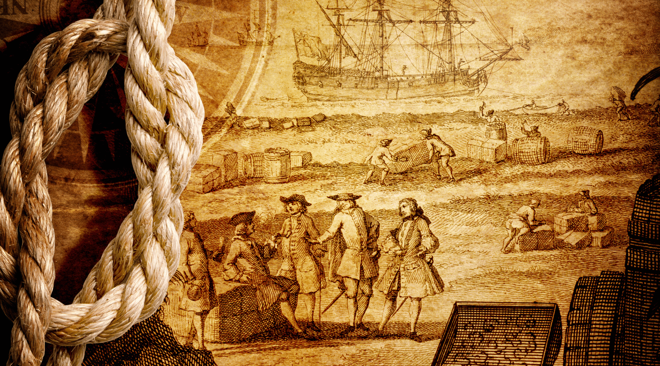 Dozen Plus of Careers in History: Unraveling the Diverse Opportunities