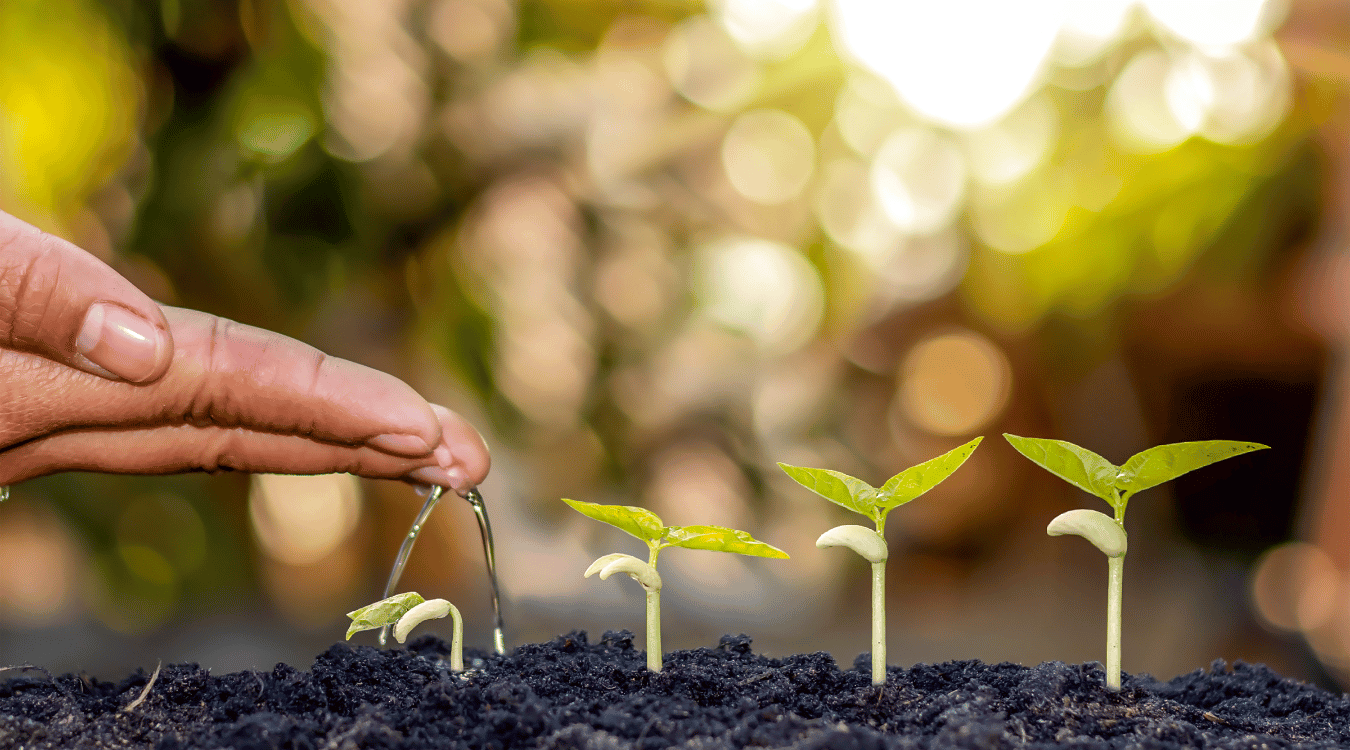 Exploring 7 Learning Options: Navigating the Path to Personal Growth ...